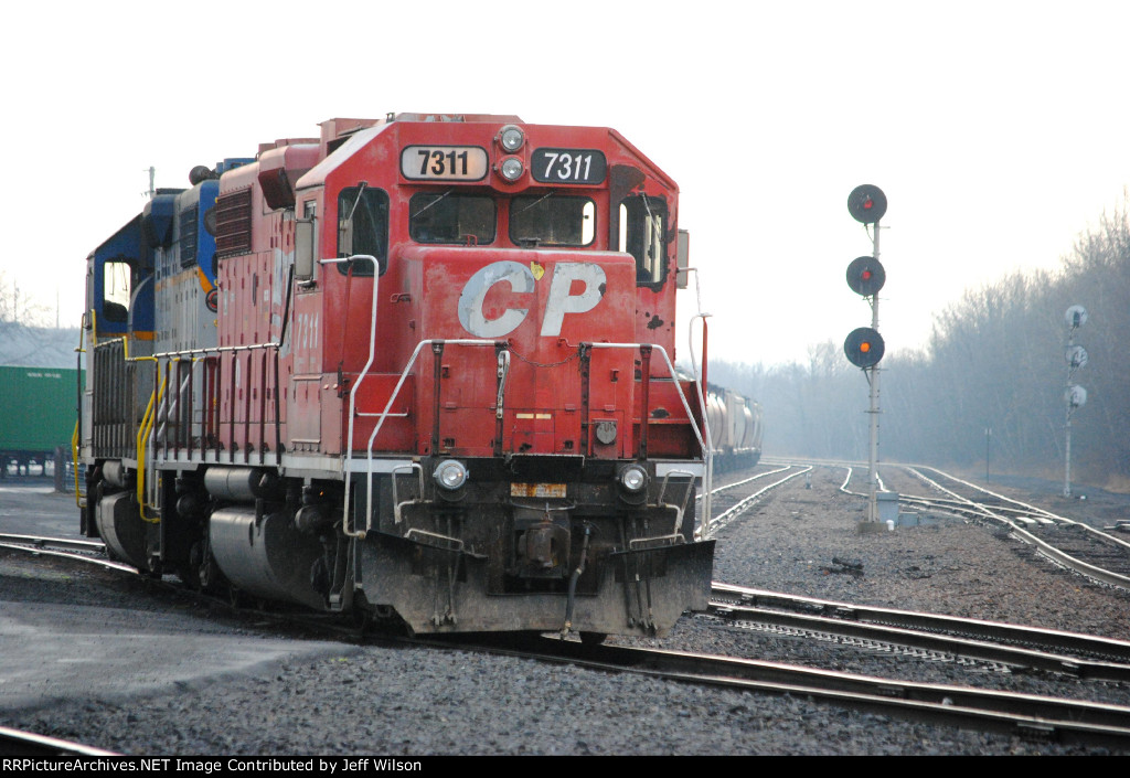 Medium approach in the yard